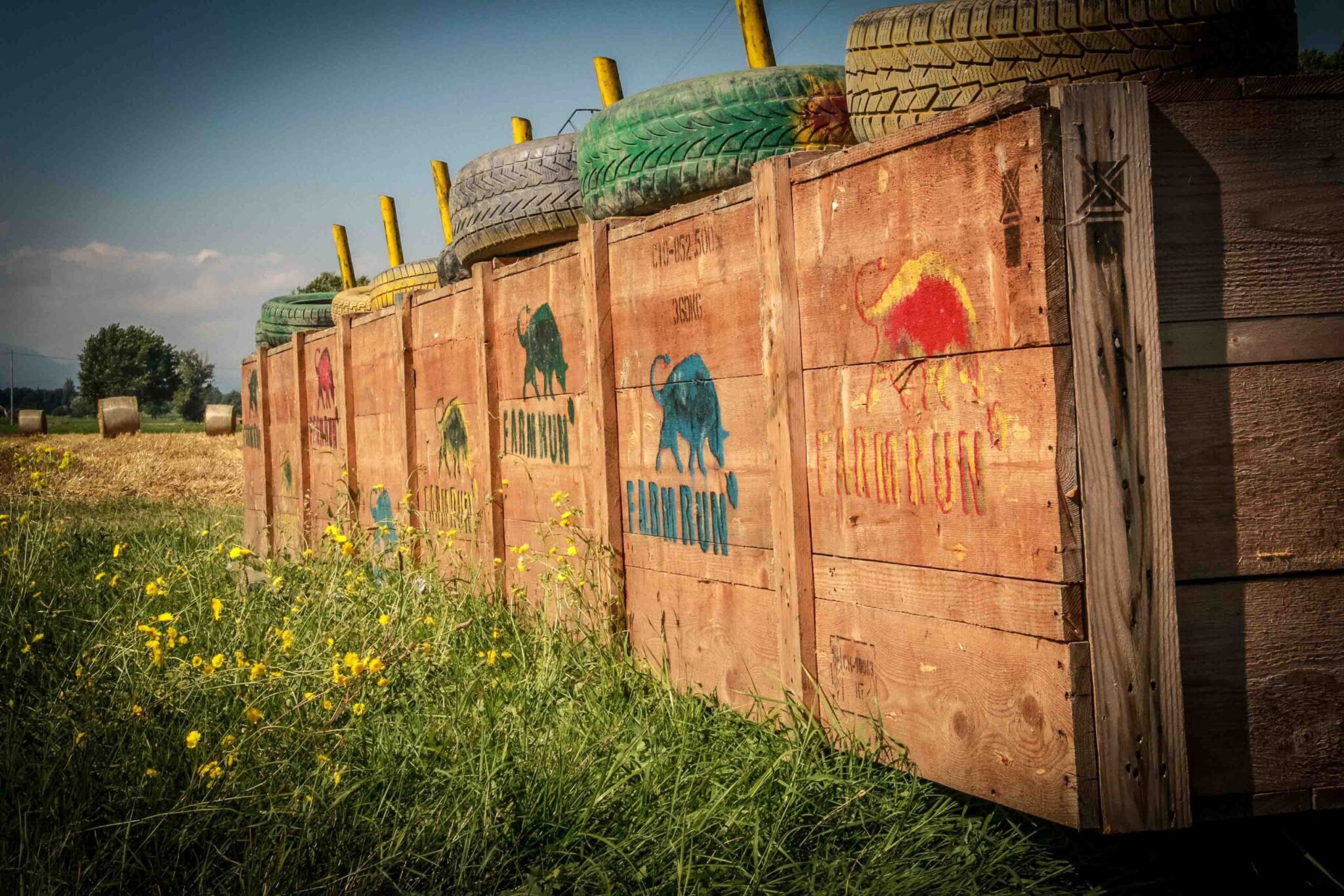 Farm Run - La Corsa nella Fattoria - OCR Gold